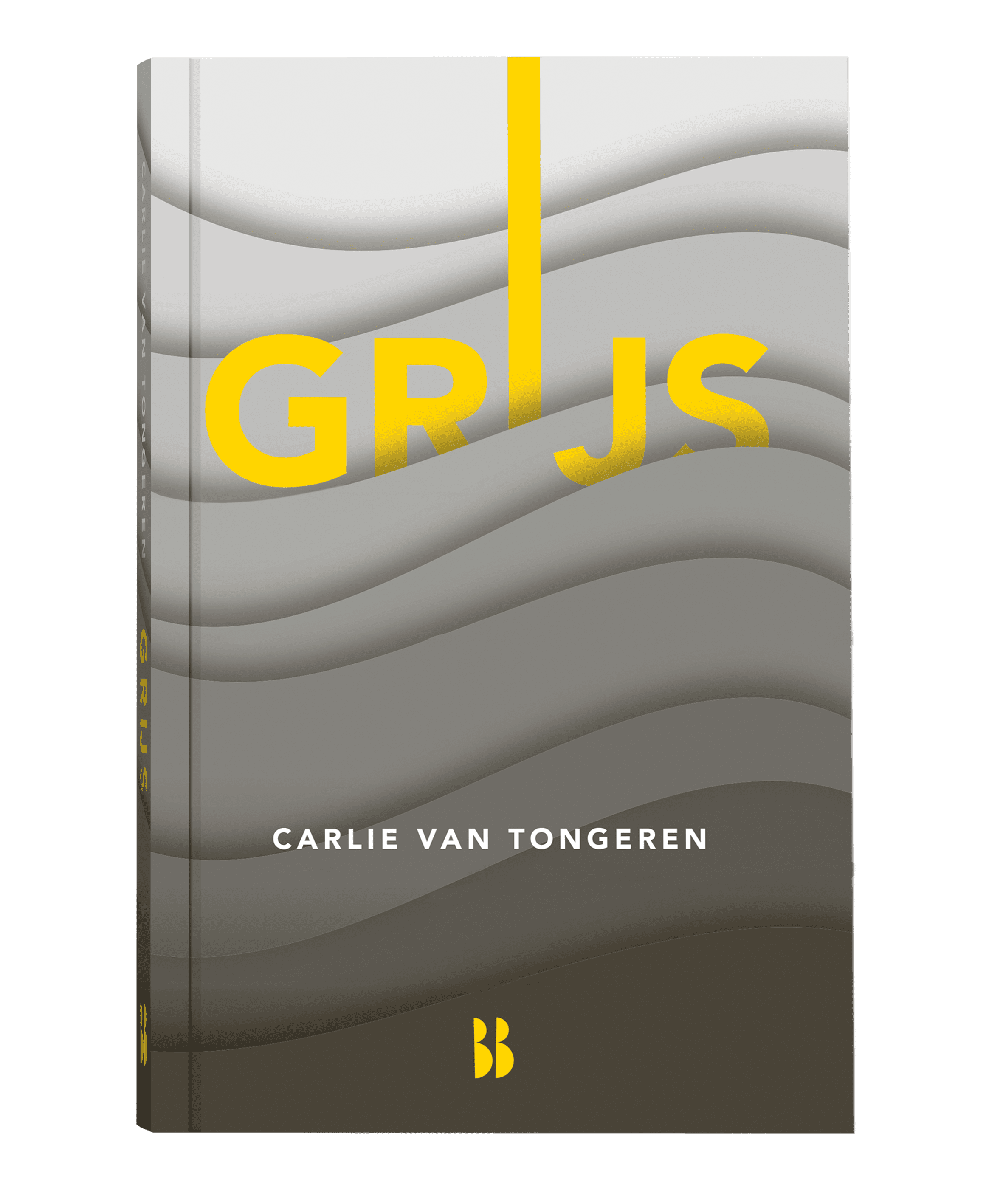 Grijs - Carlie van Tongeren