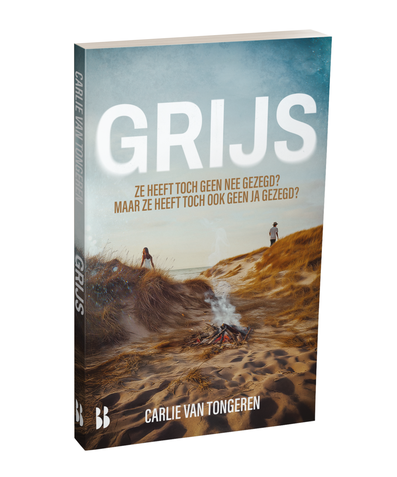 Grijs - Carlie van Tongeren
